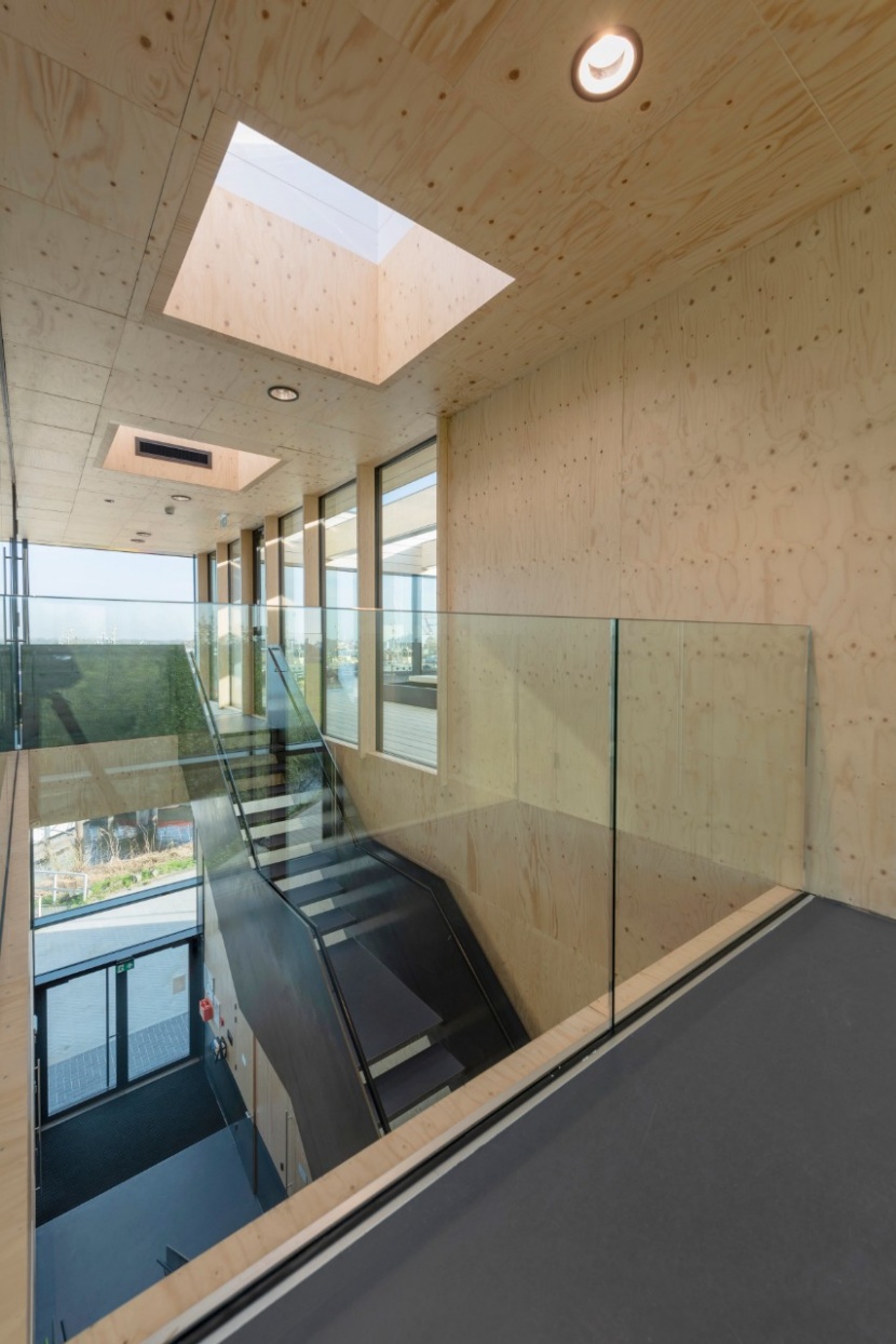 Holzbau für den Amsterdamer Hafen