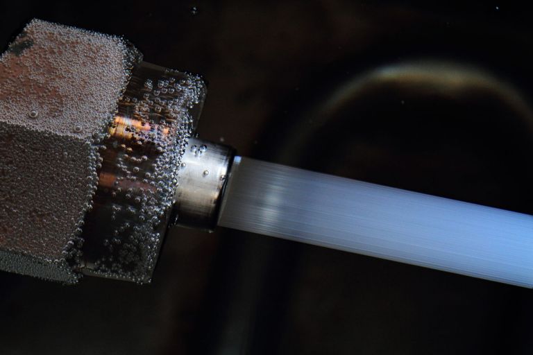 Laubholz als Hightech-Rohstoff