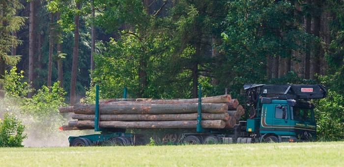 Zwei statt drei Forstämter im Solling