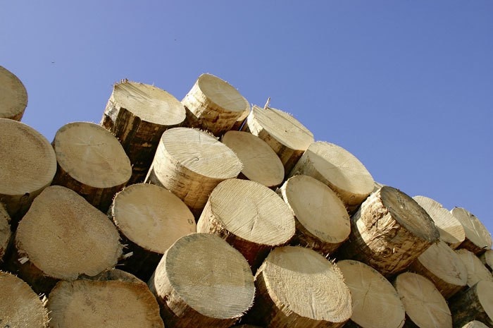 Fichten-Blochholz +3%