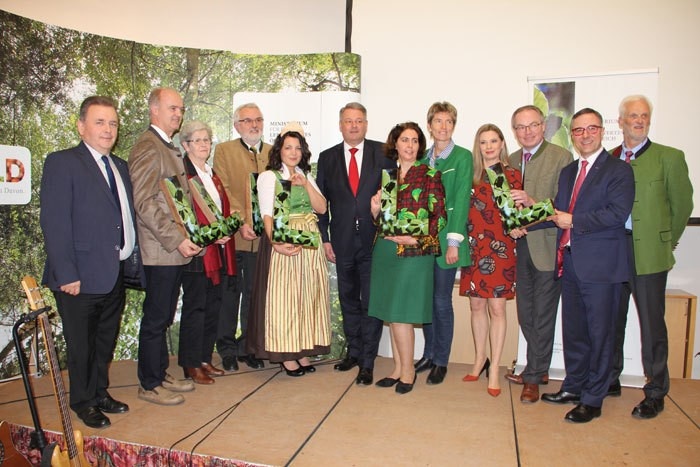 Wundermittel Holz