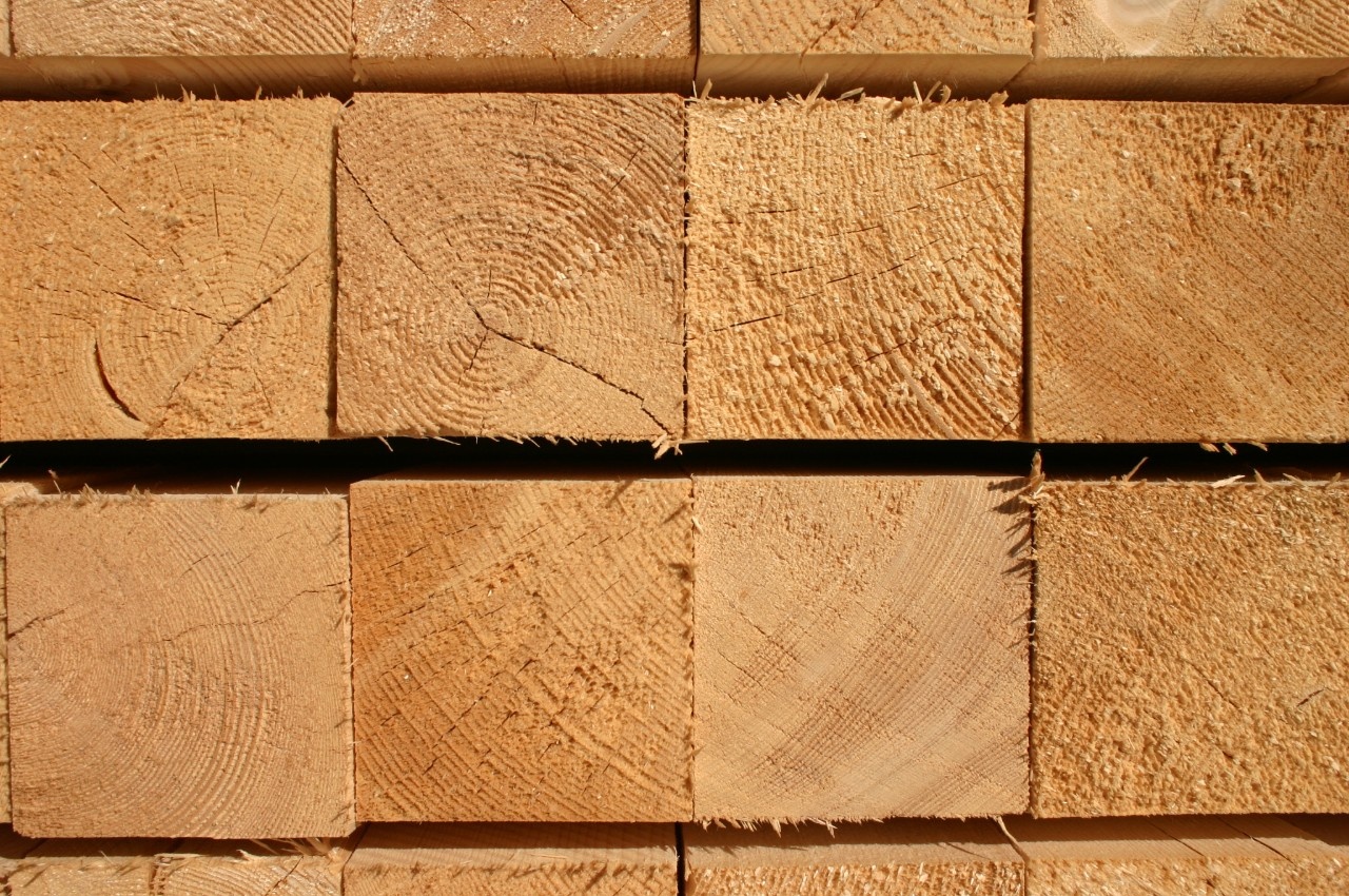 Maschinell sortierte CE-Dachlatte verfügbar