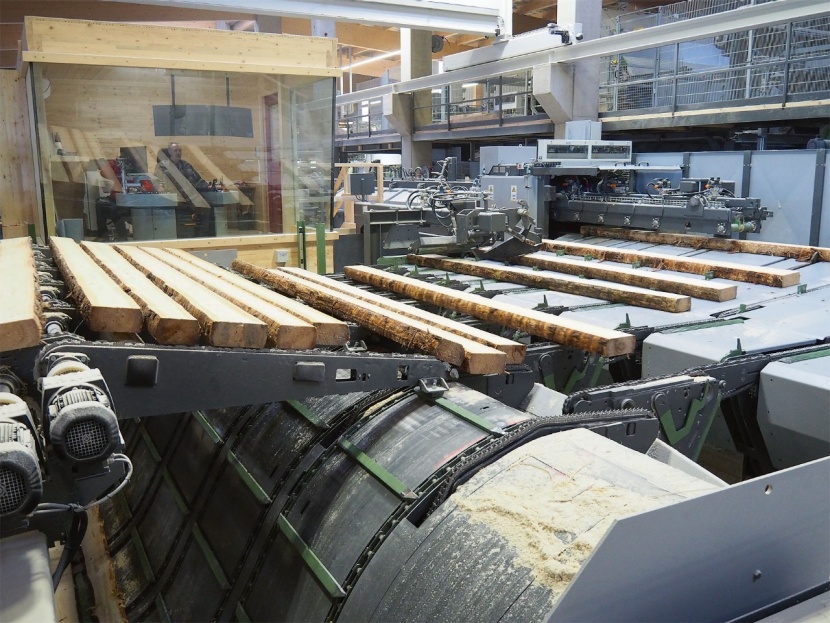 EWD Hahn mit Kreissaegen zum Erfolg