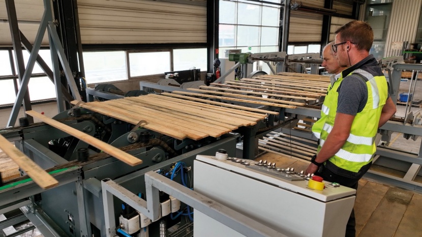 Die Zuteilerlösung für die Schnittholzsortierung