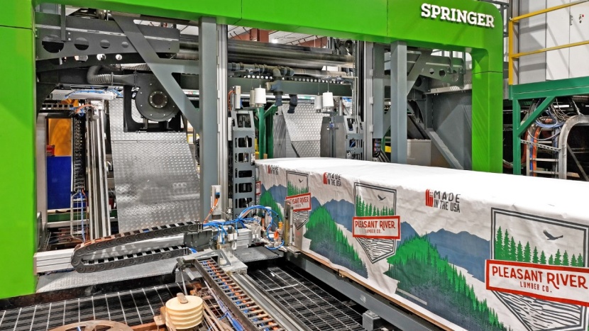 Springer in USA